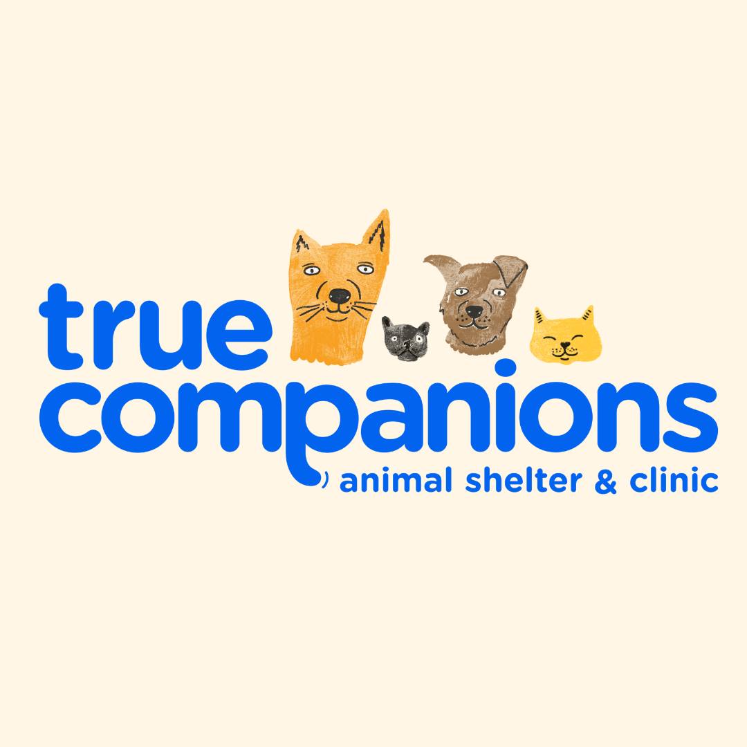 Adoptable Dogs in Denver | Petfinder Denver | Denver No-Kill Animal Shelte